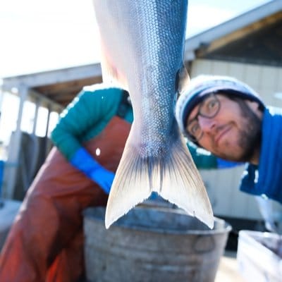 Nathaniel Herz - Northern Journal